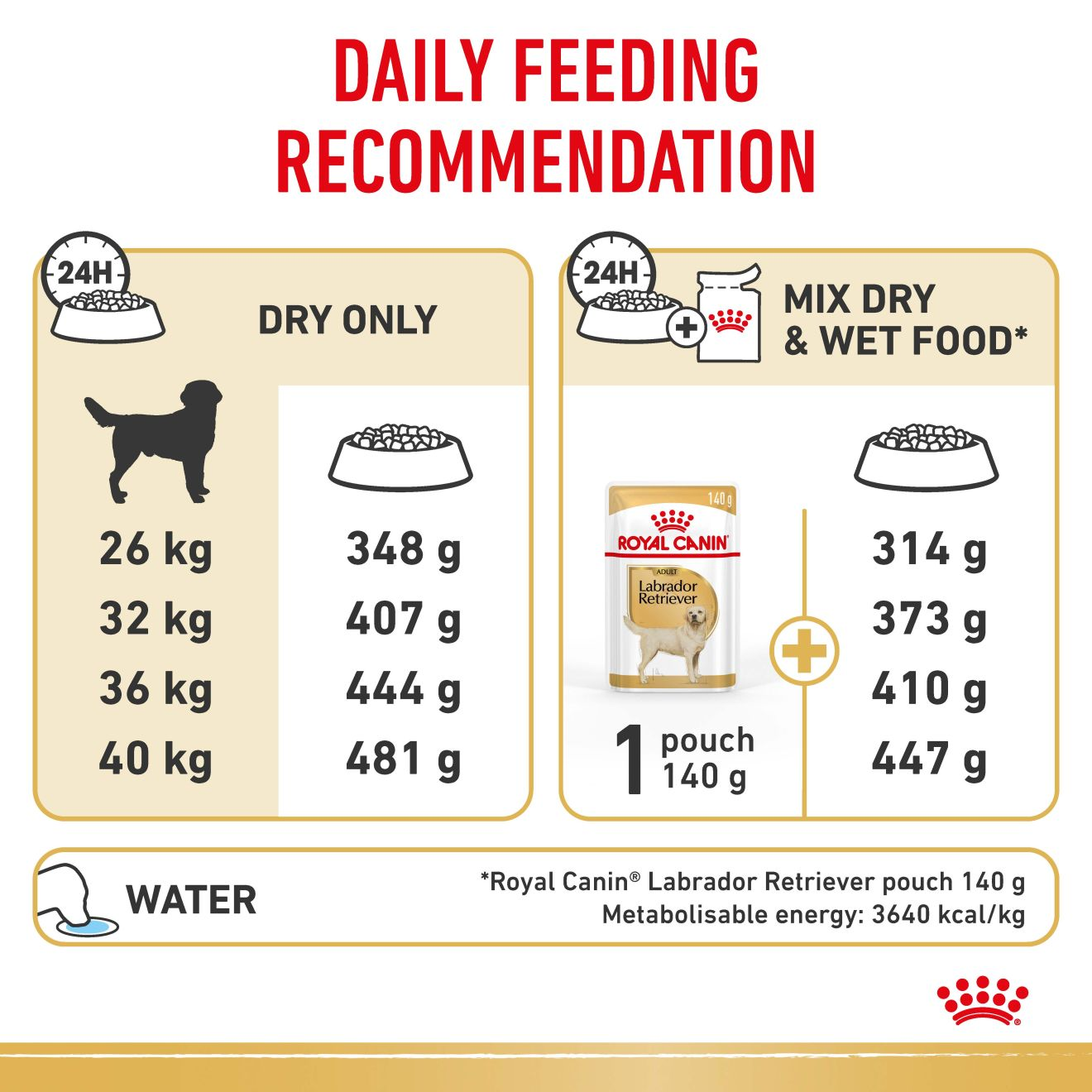 Labrador Retriever Adult | Royal Canin AU