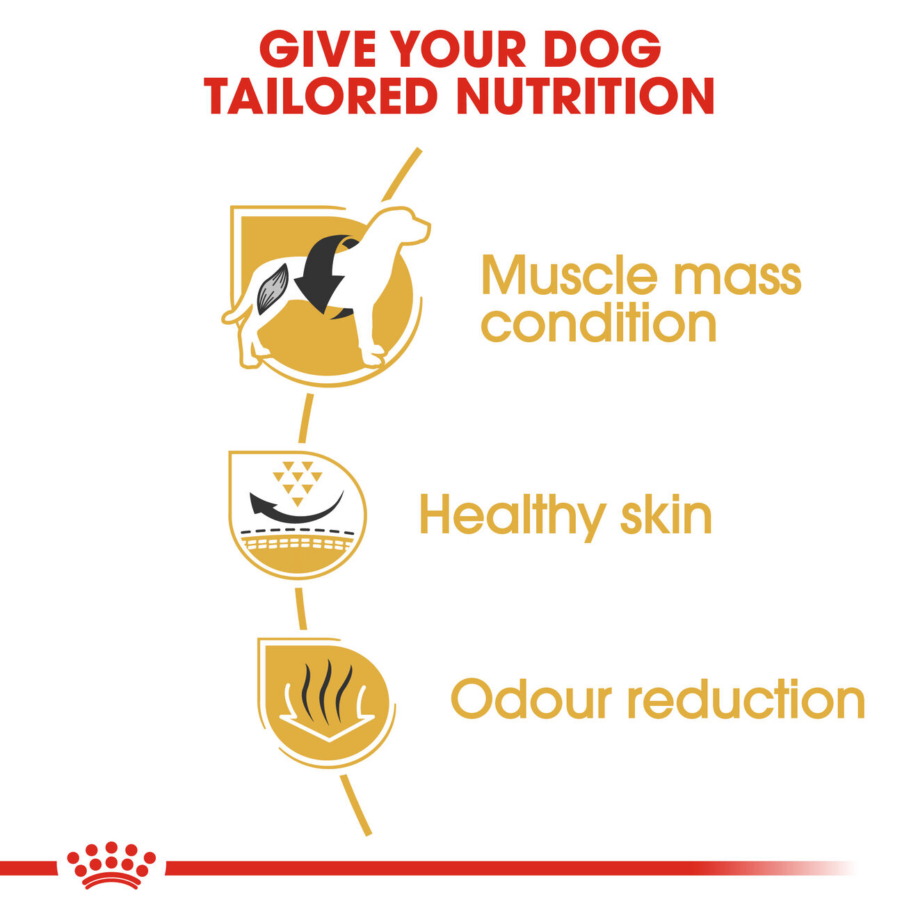 Royal Canin French Bulldog Adult - Hondenvoer | Royal Canin Shop ...