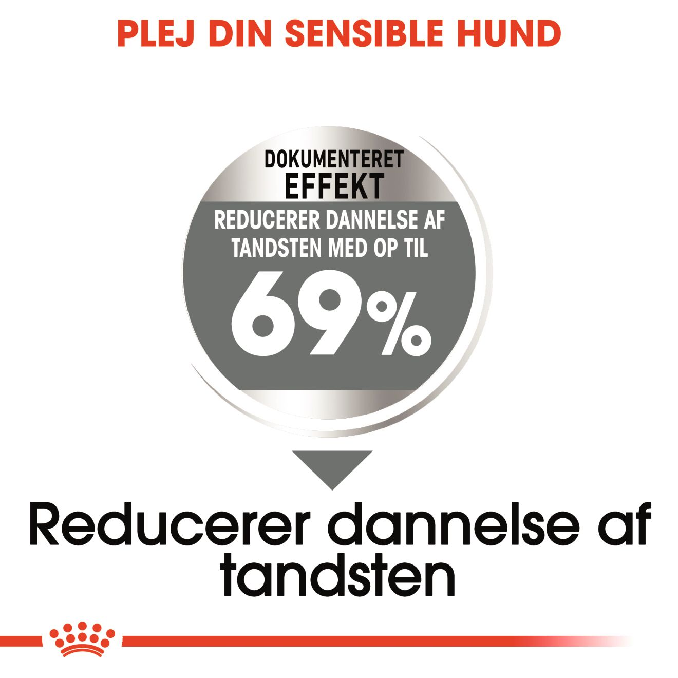 Mini Dental Care | Royal Canin DK