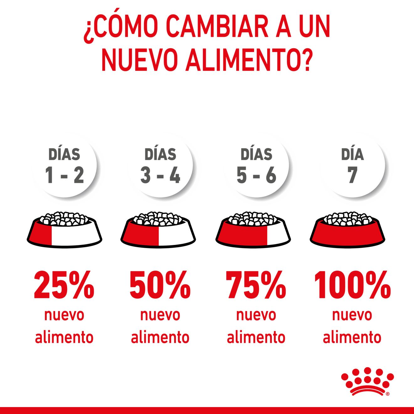 PUPPY - MEDIUM | Royal Canin ES