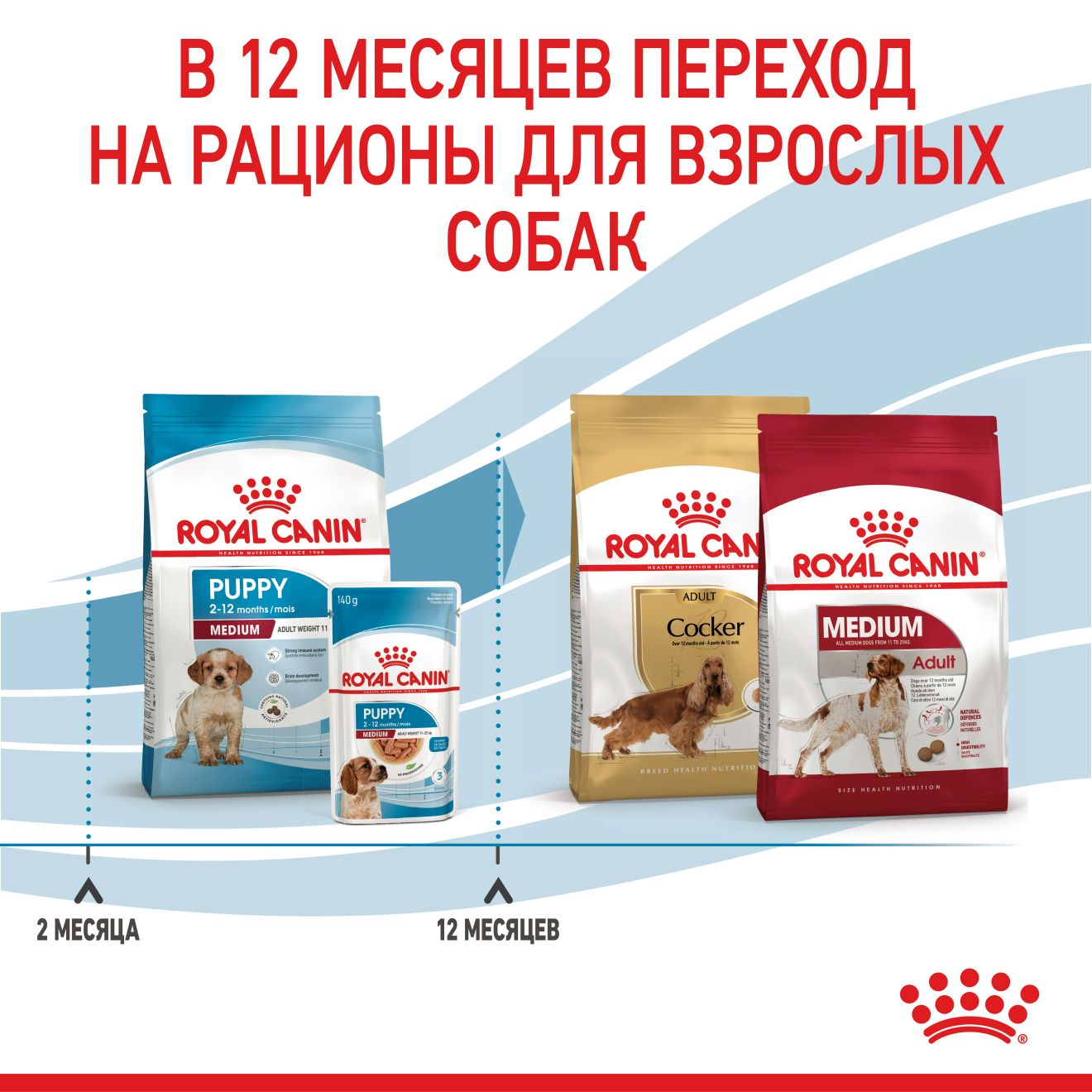 Medium Puppy | Royal Canin UA