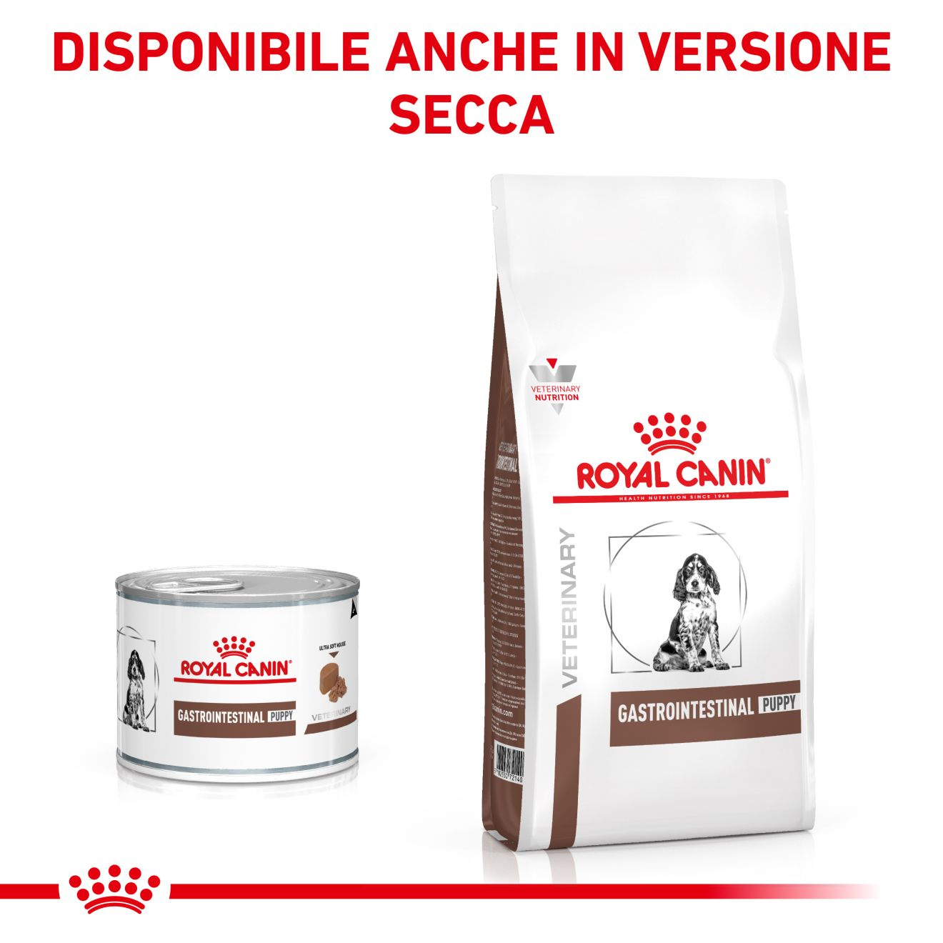 Gastrointestinal Puppy wet | Royal Canin IT