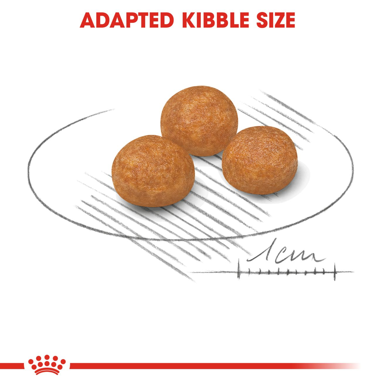 X-Small Adult | Royal Canin AE
