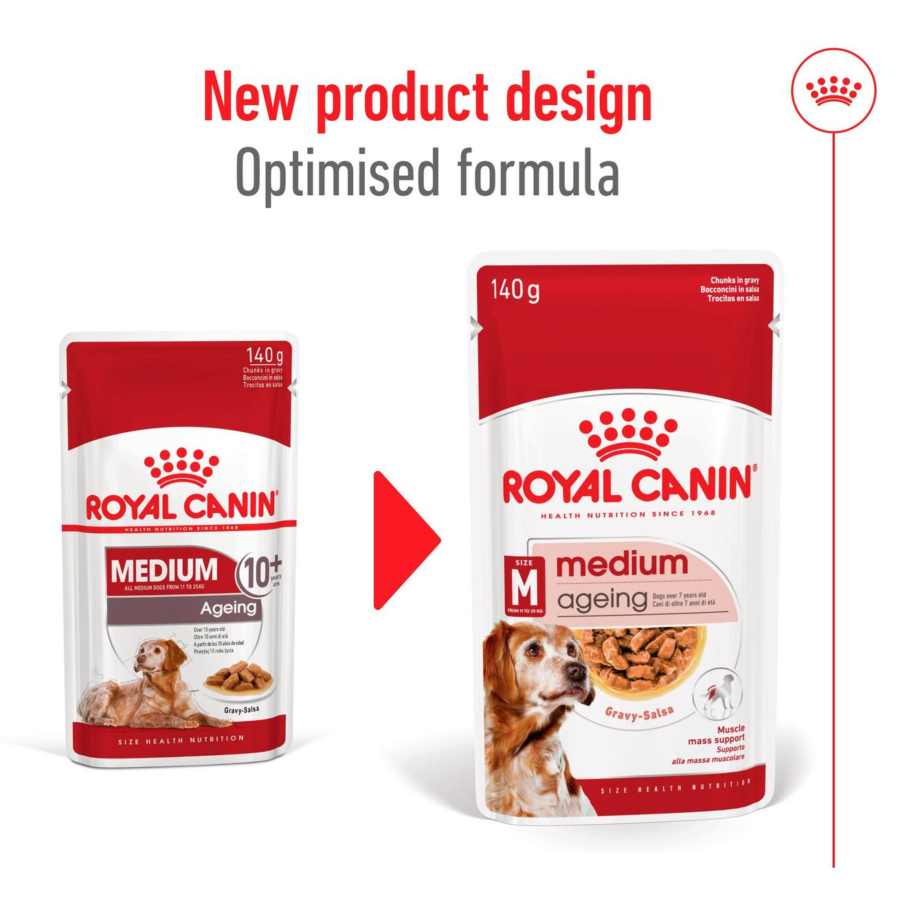 Medium Ageing - Chunks In Gravy | Royal Canin UK
