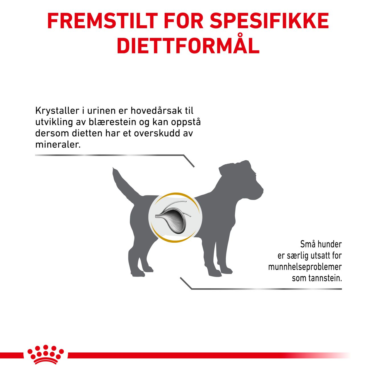 Urinary S/O Small Dog | Royal Canin NO
