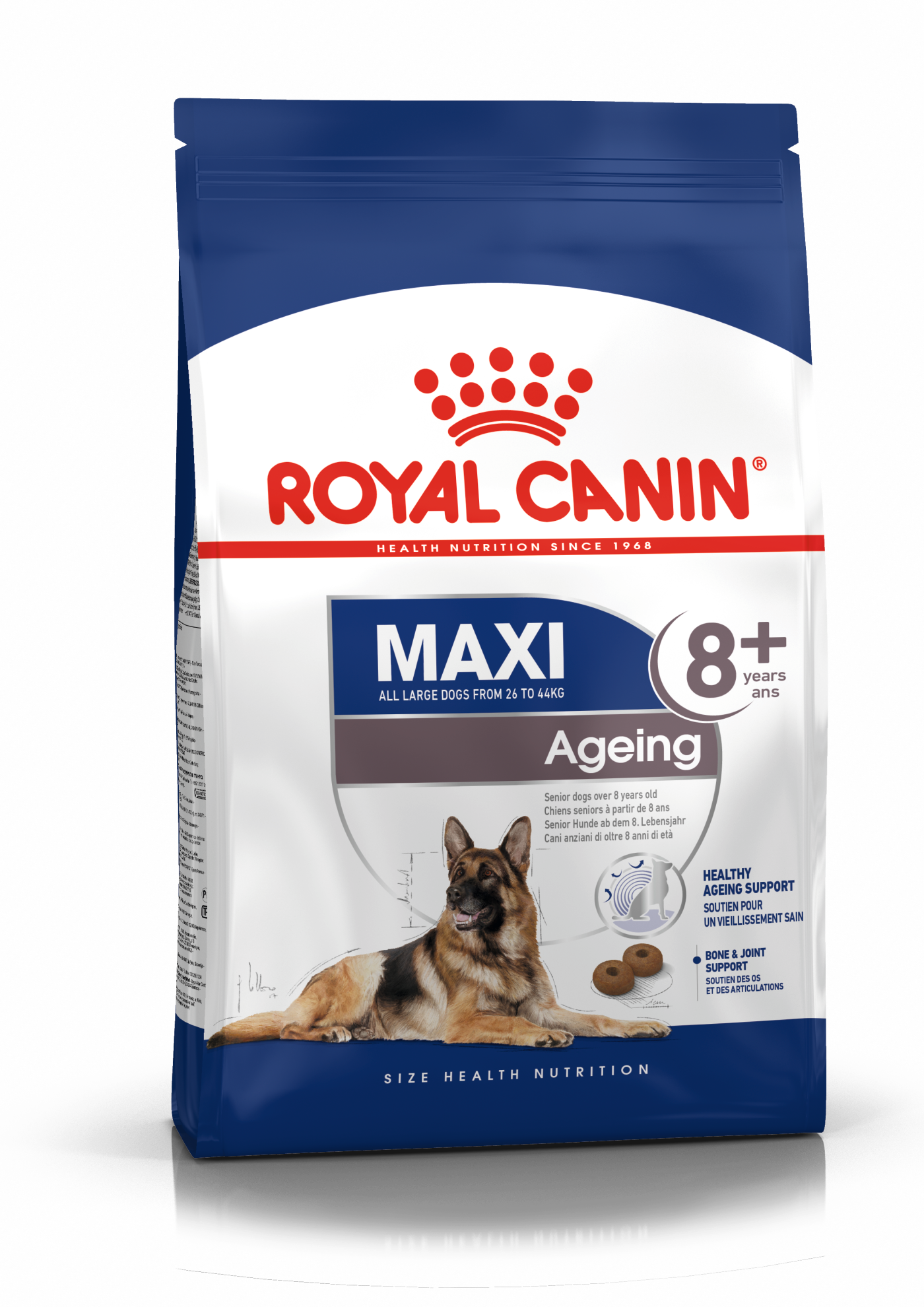Maxi Ageing 8+ | Royal Canin EE