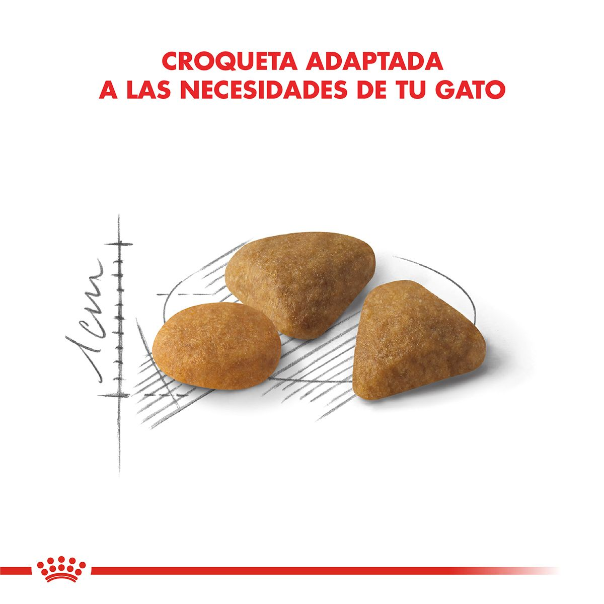 Exigent | Royal Canin Argentina
