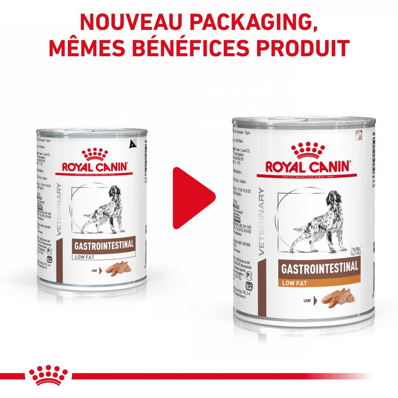Gastrointestinal Low Fat | Royal Canin BE