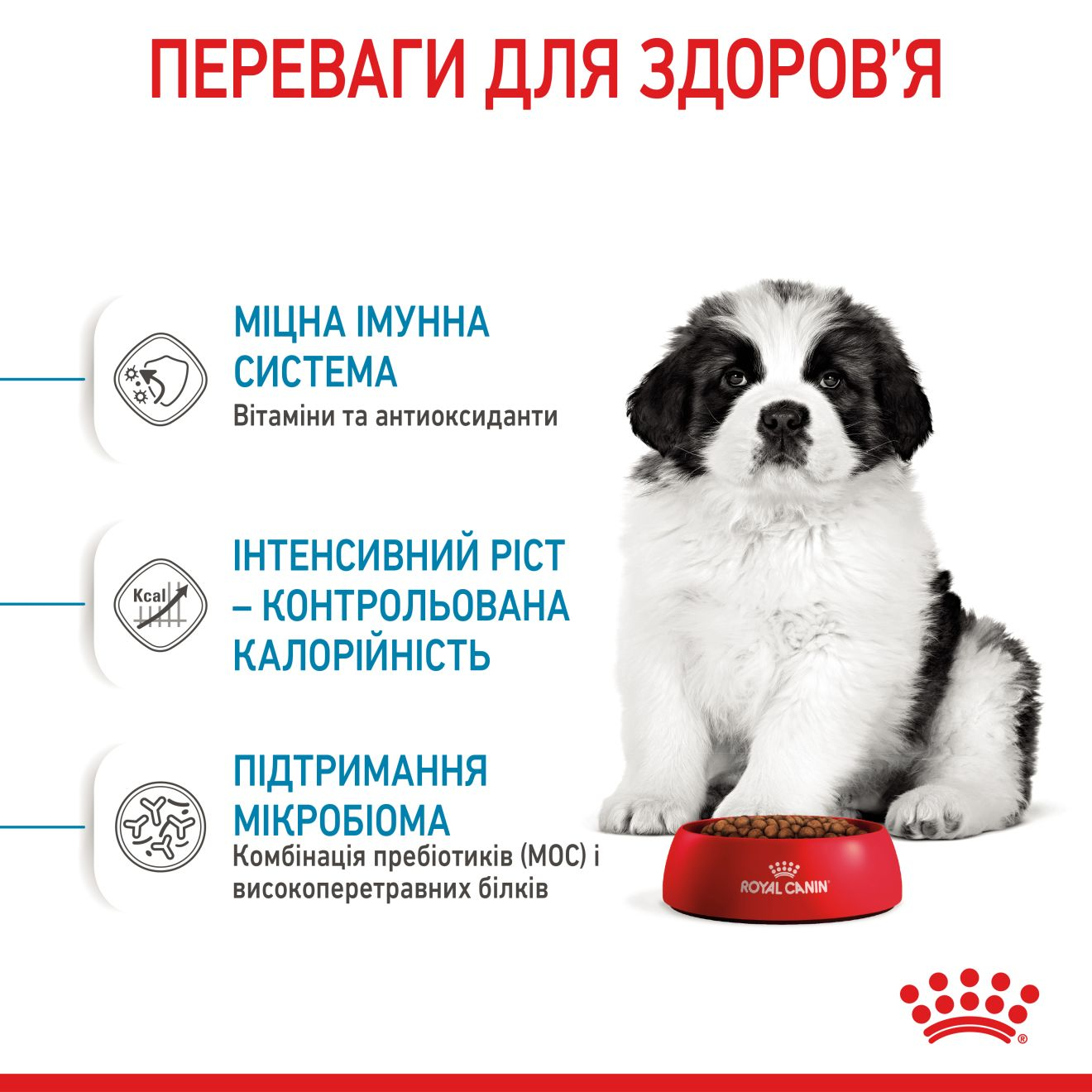 Giant Puppy | Royal Canin UA