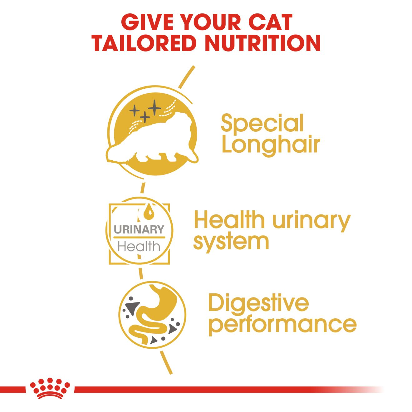 Persian | Royal Canin IN