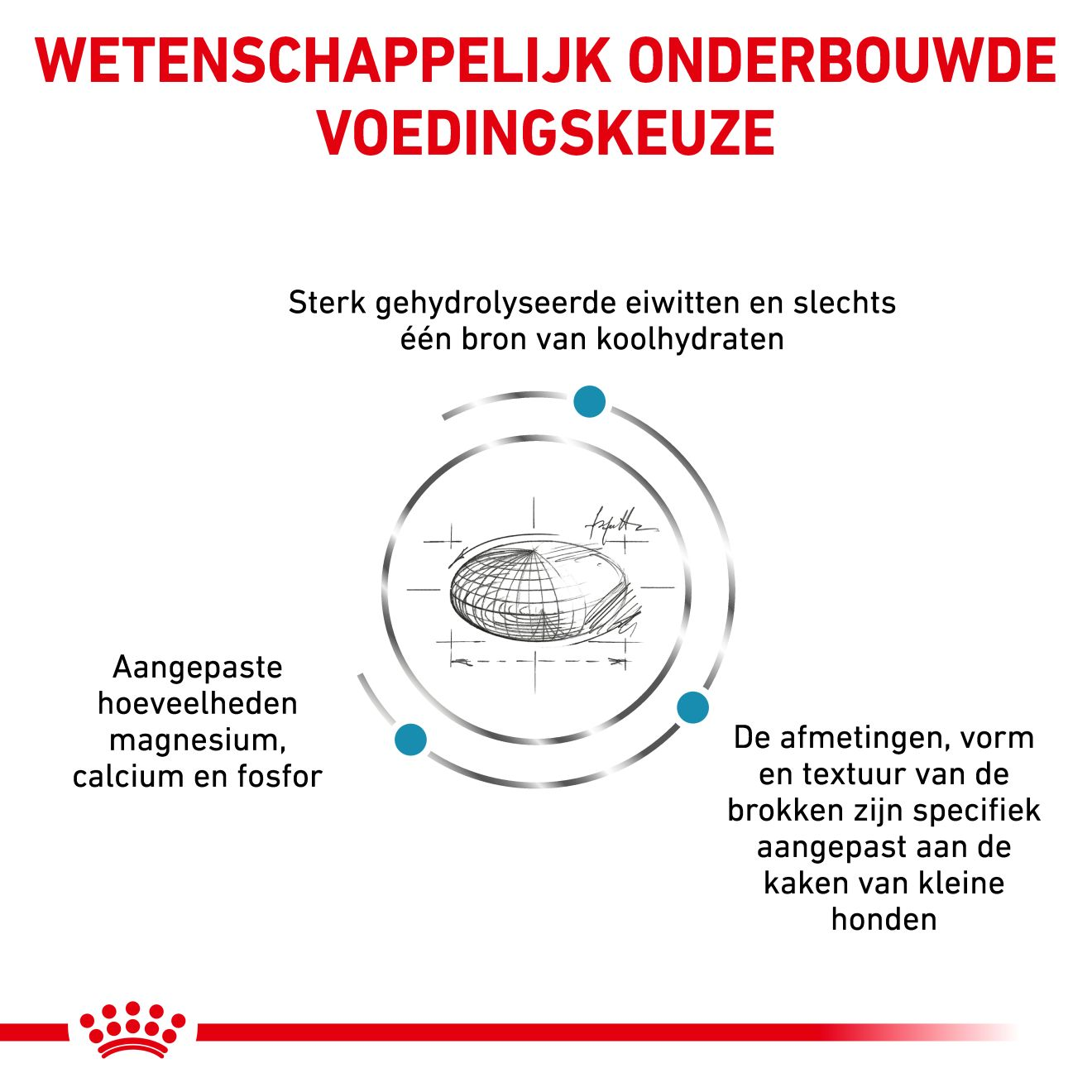 Hypoallergenic Small Dog | Royal Canin NL