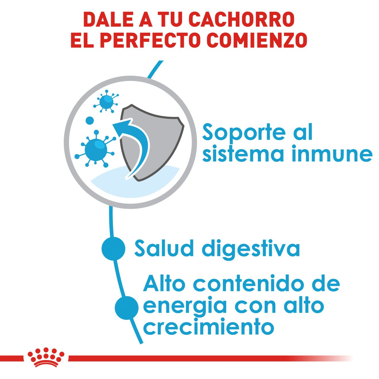 Medium Puppy | Royal Canin MX