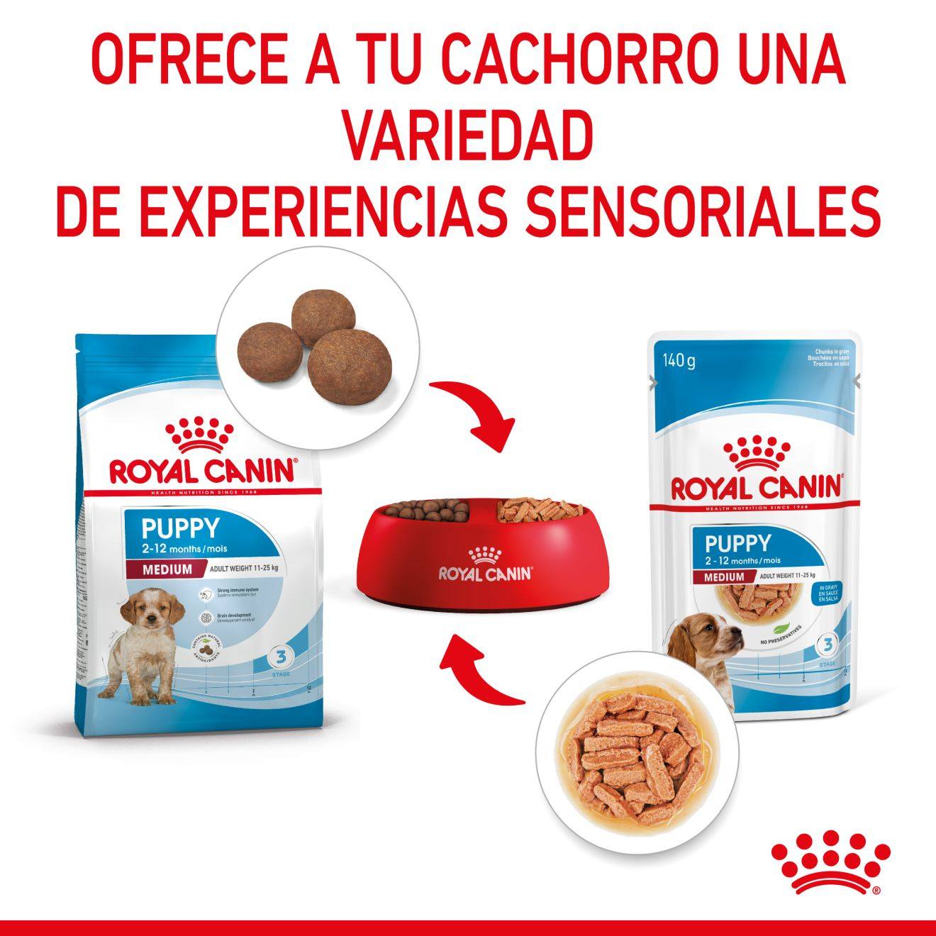 PUPPY - MEDIUM - Trocitos en salsa | Royal Canin ES