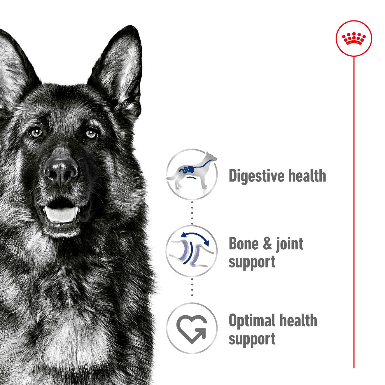 Royal Canin HK