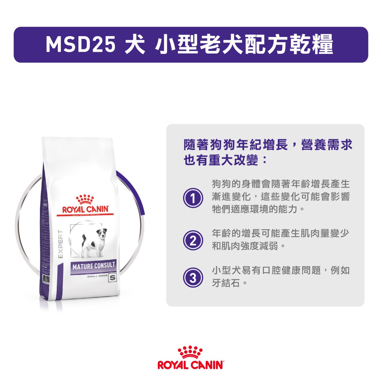 MSD25 狗 小型老犬配方（8歲以上） | Royal Canin Taiwan