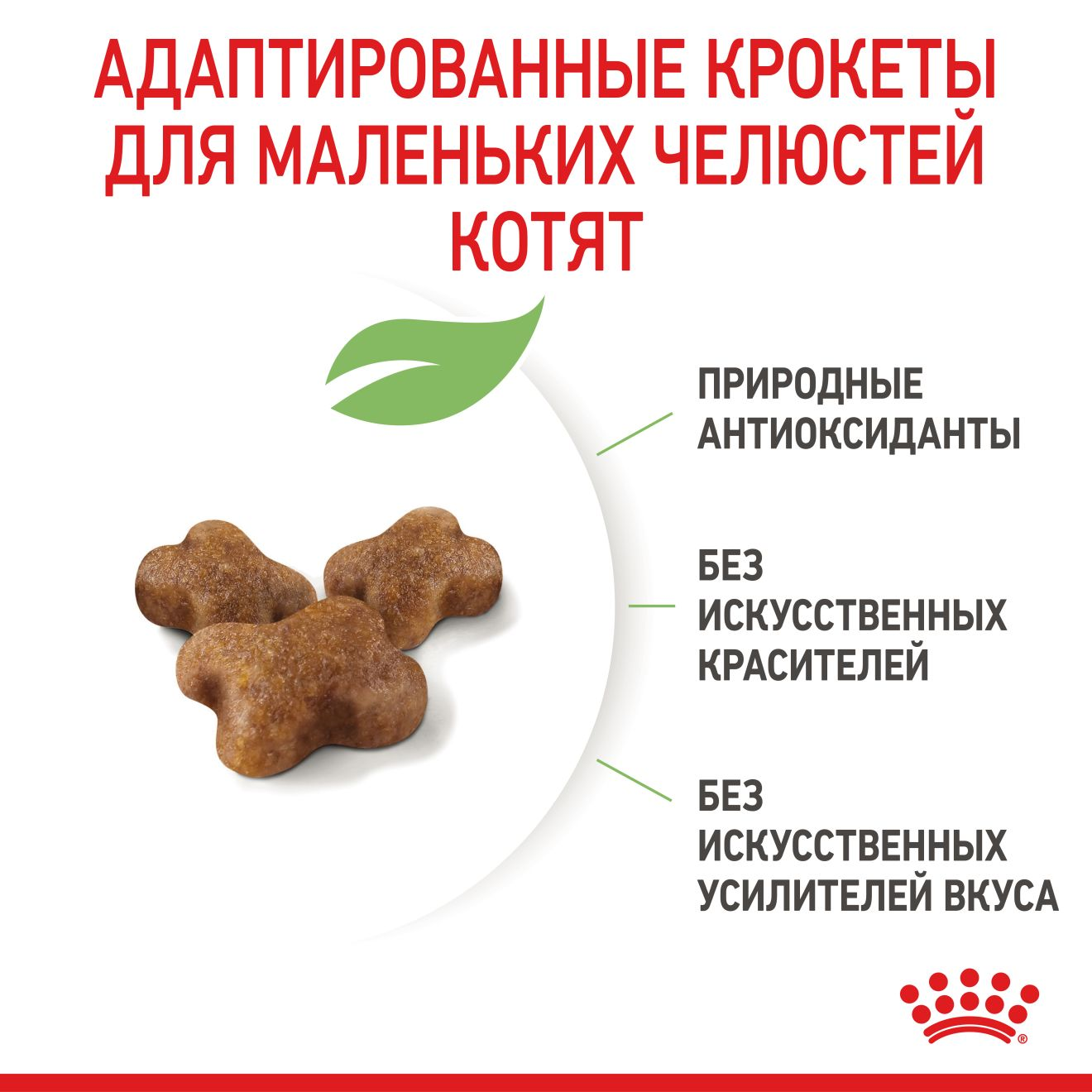 Kitten | Royal Canin UA