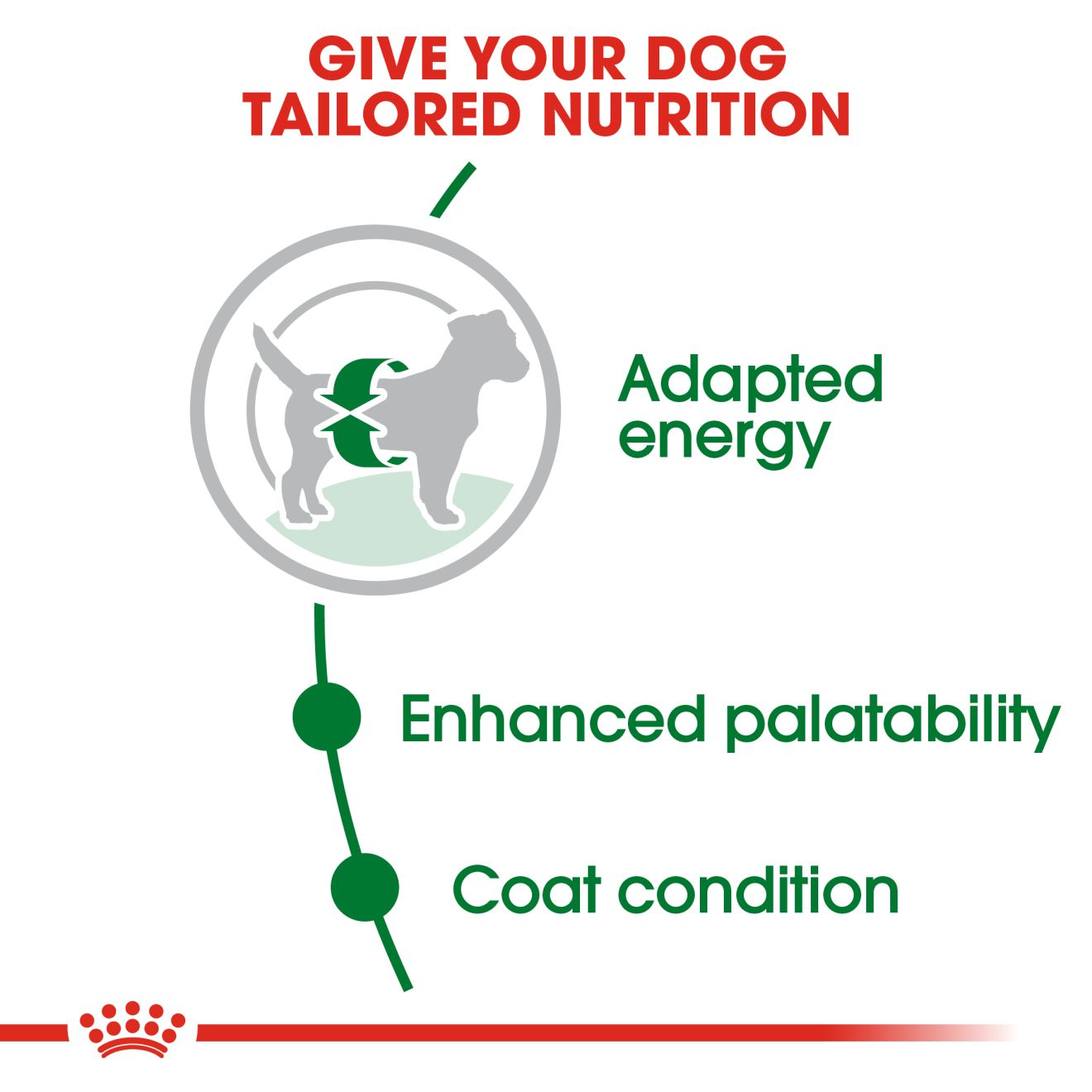 Mini Adult | Royal Canin AU