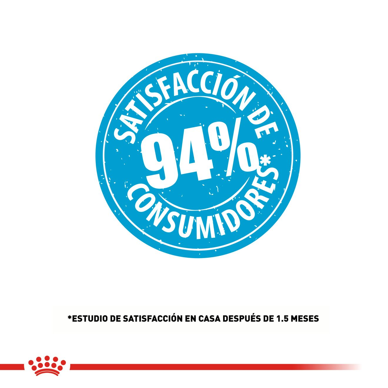 Medium Puppy | Royal Canin MX