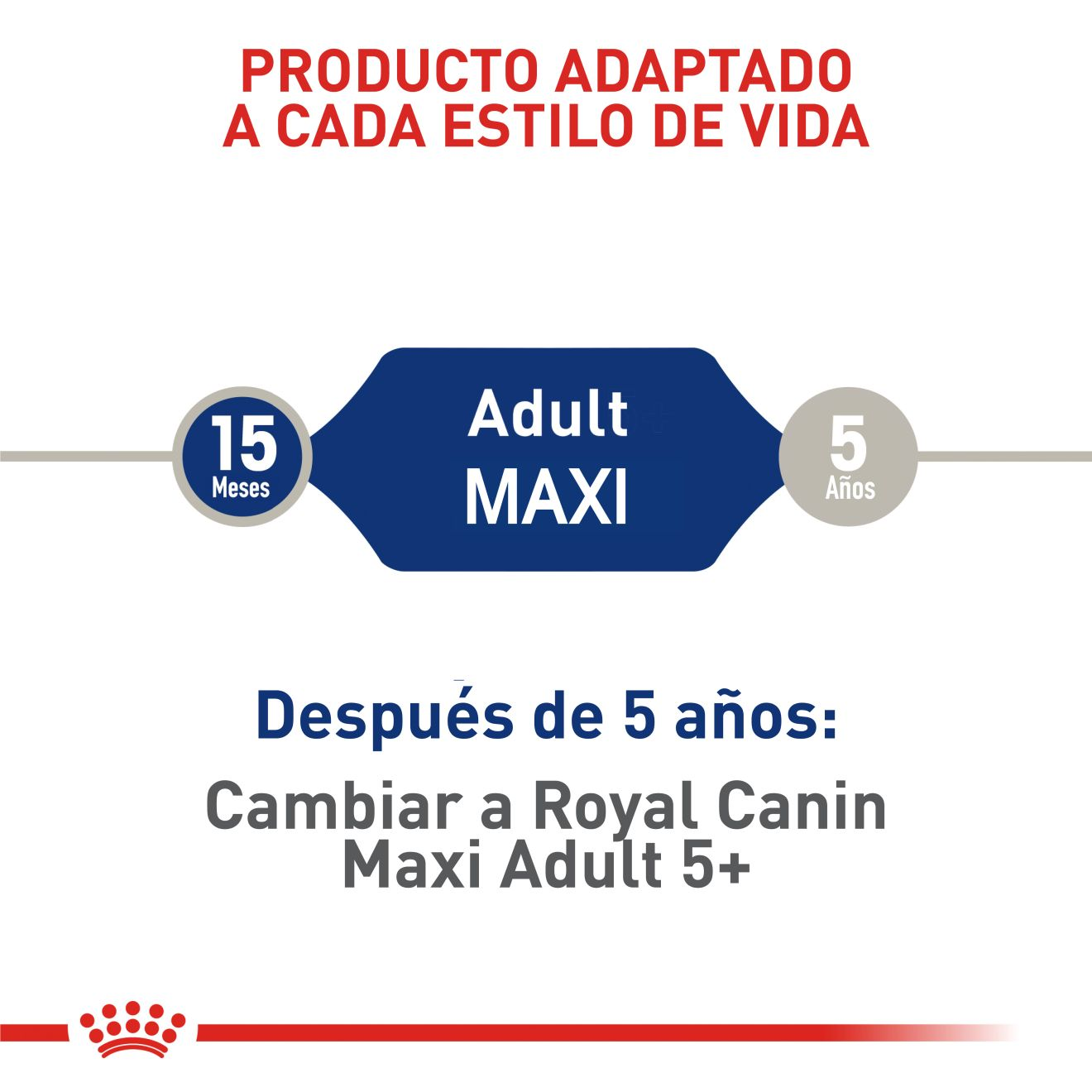 Maxi Perro Adulto | Royal Canin CO