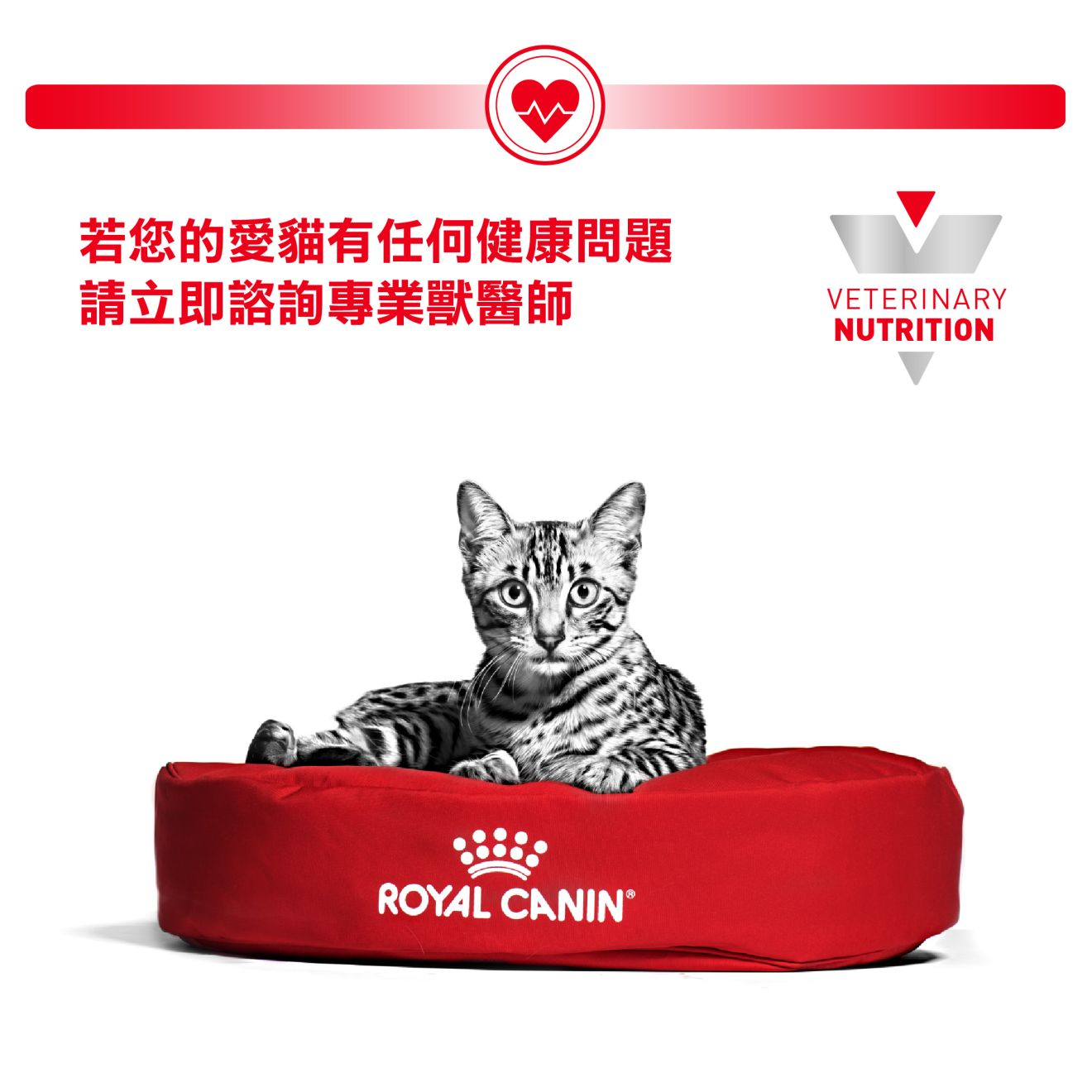 WK32 貓 熟齡均衡配方（7歲以上） | Royal Canin Taiwan