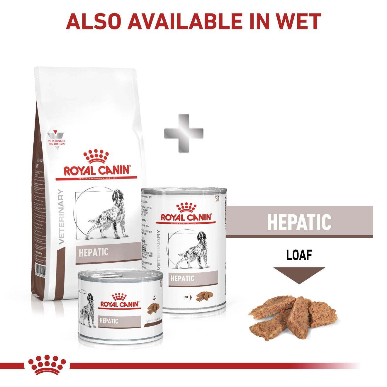 Hepatic | Royal Canin NL