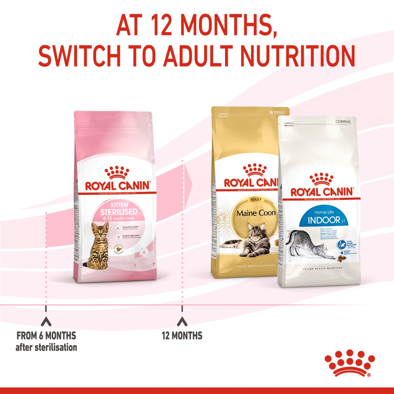 Kitten Spayed/Neutered Dry Cat Food | Royal Canin US