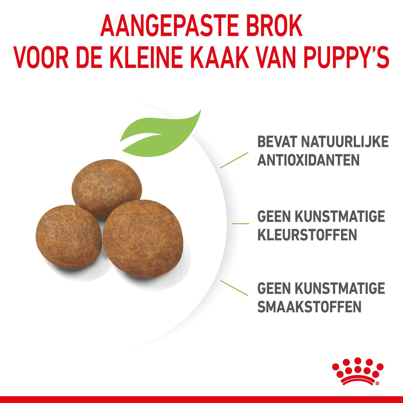 Maxi Puppy: Puppyvoer voor Grote Rassen: Gezonde Botten & Gewrichten ...