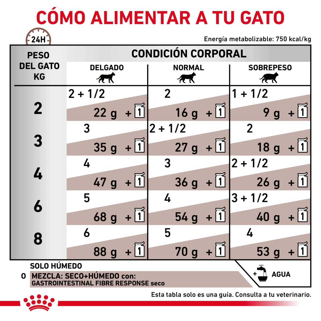 Gastrointestinal Fibre Response | Royal Canin ES