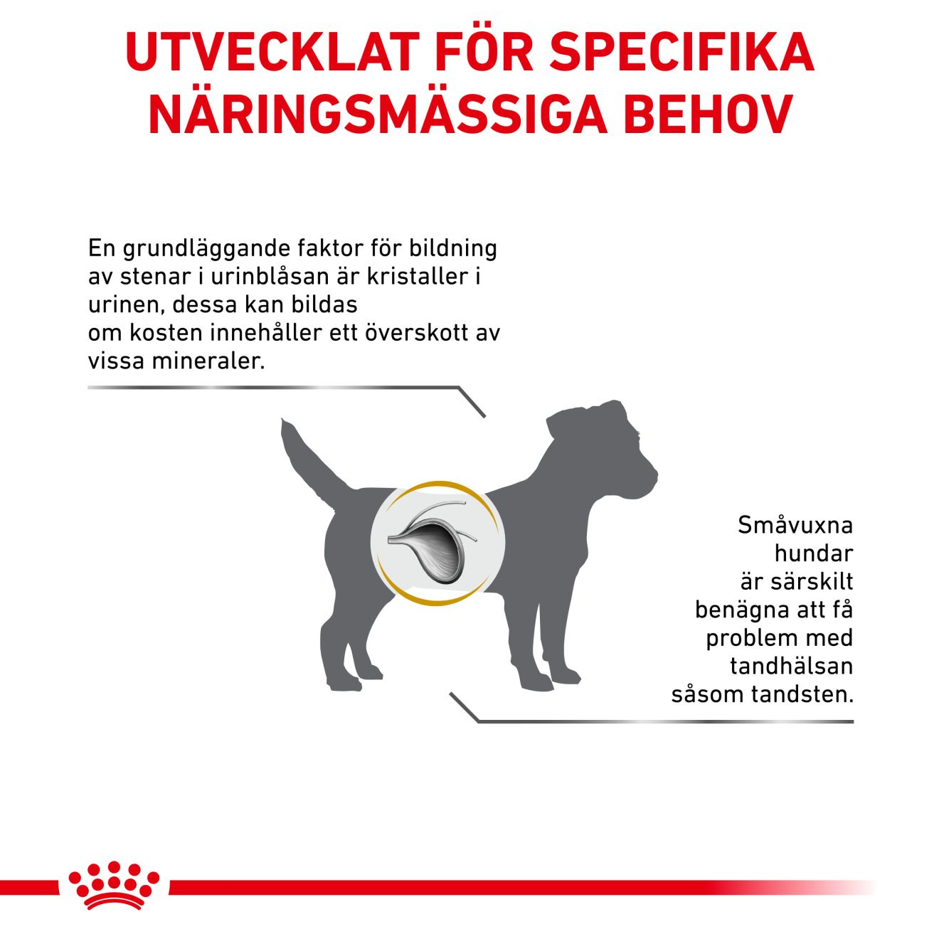 Urinary S/O Small Dog | Royal Canin SE