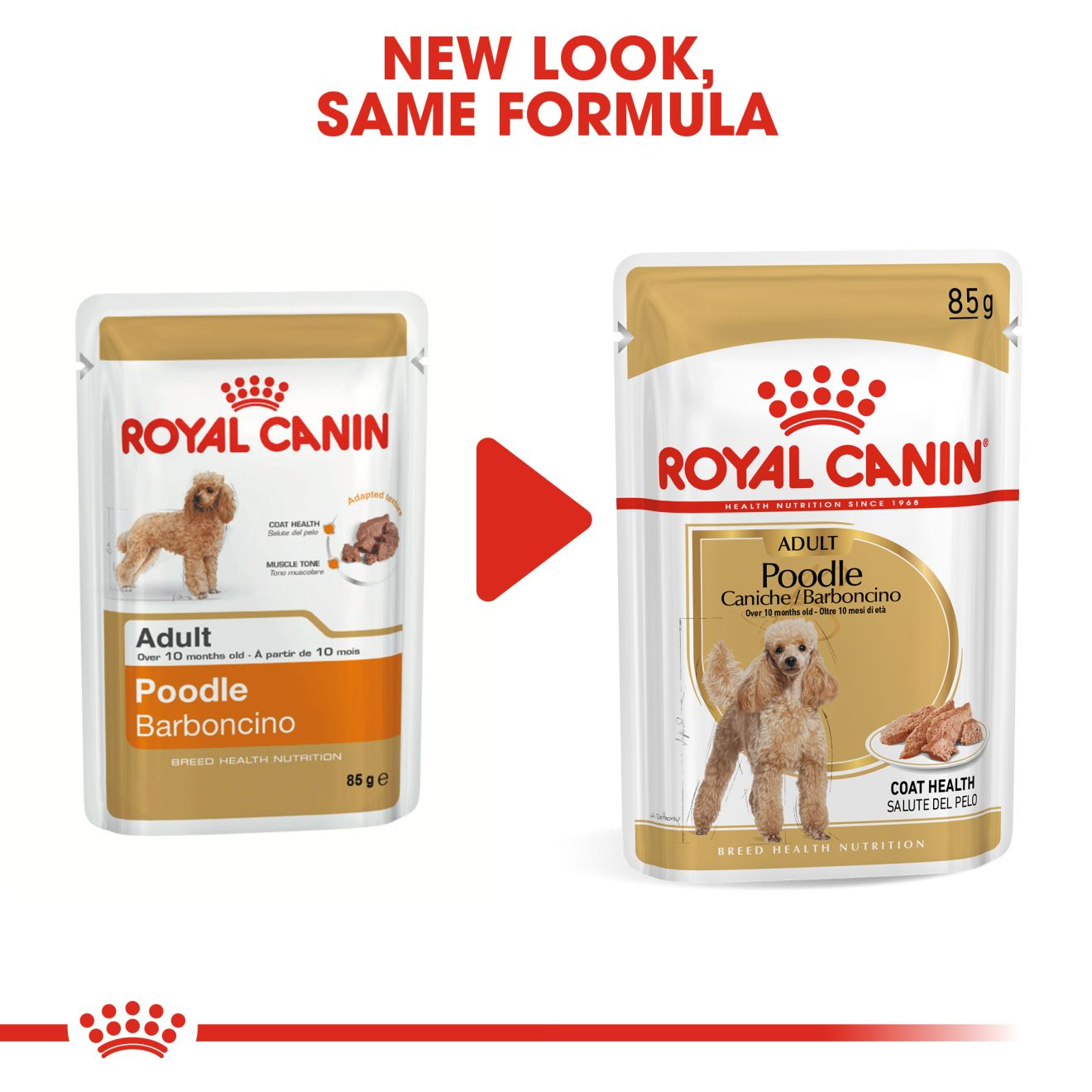 Poodle | Royal Canin ZA