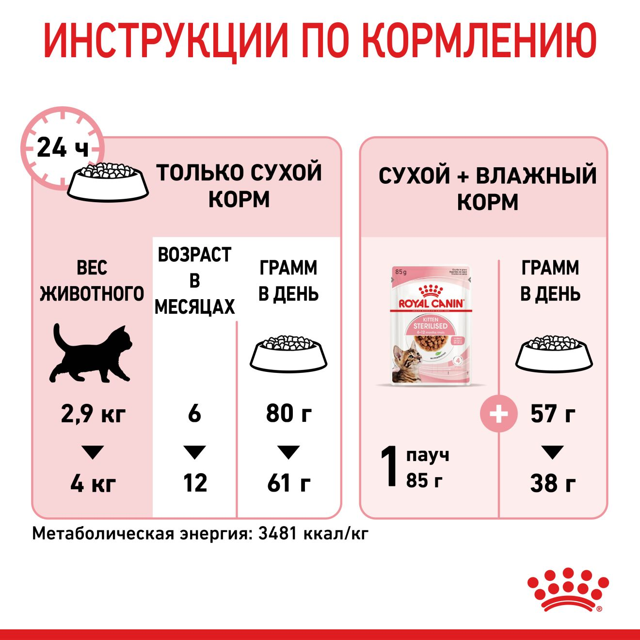 Kitten Sterilised | Royal Canin UA