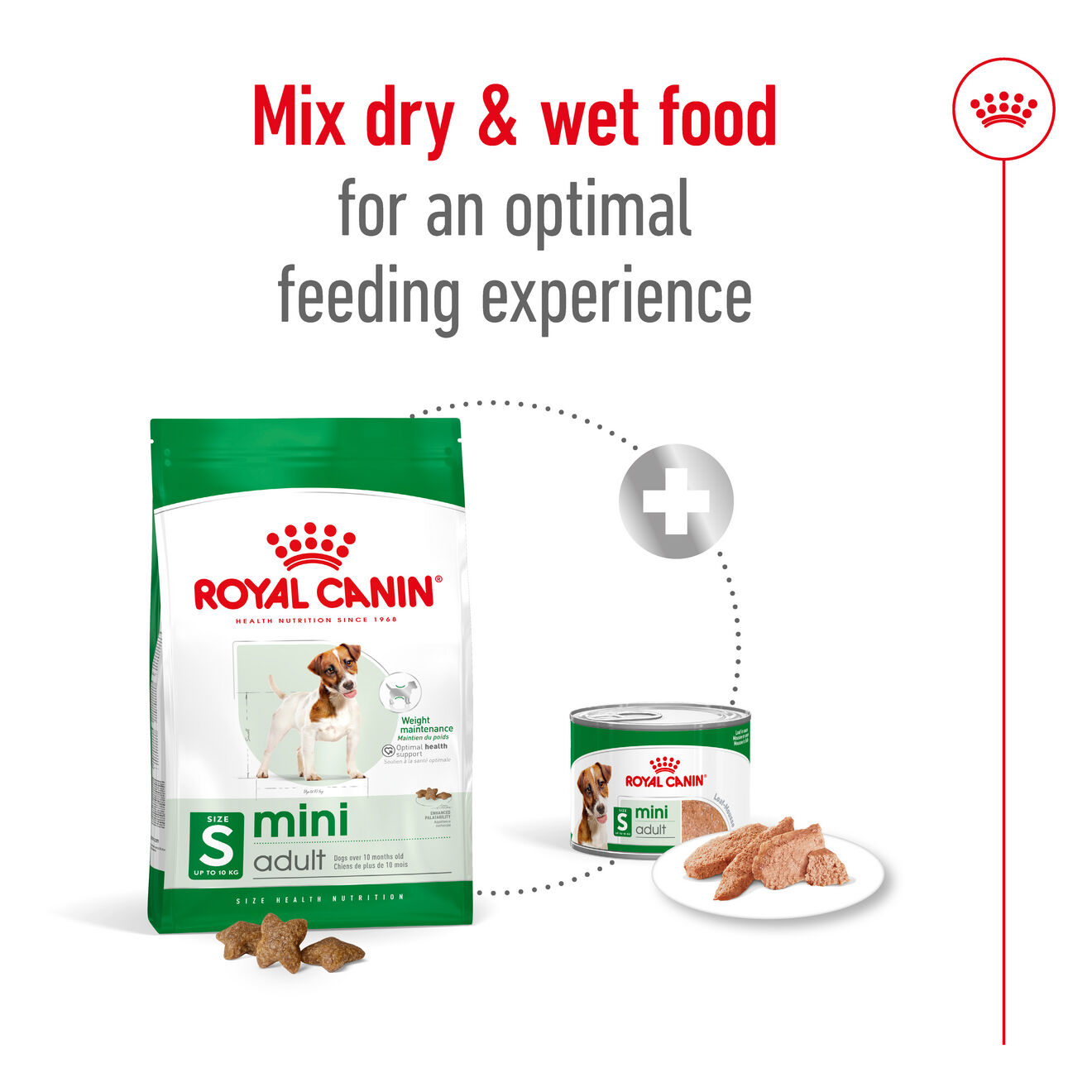 Mini Adult | Royal Canin AU