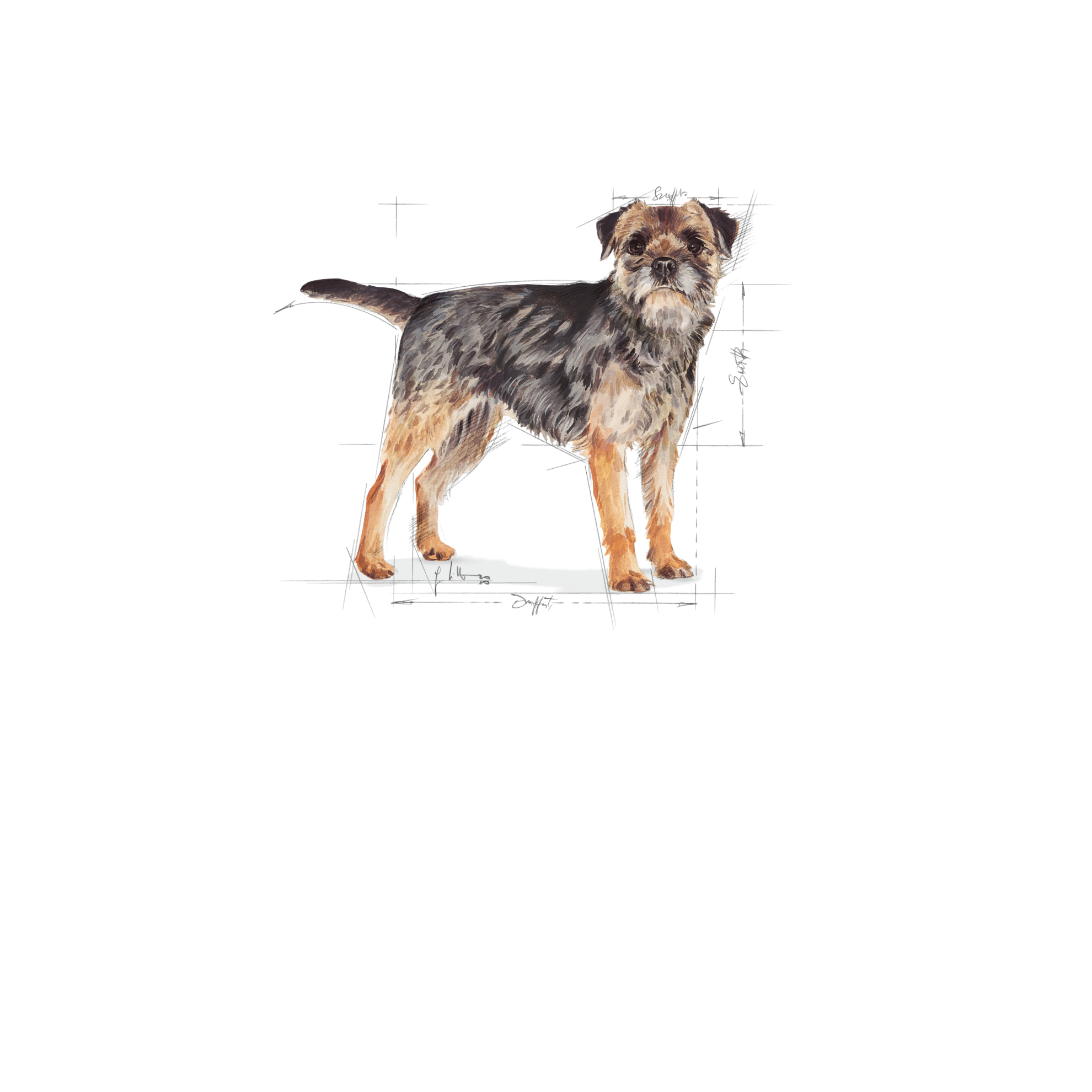 Mini Sterilised | Royal Canin AE
