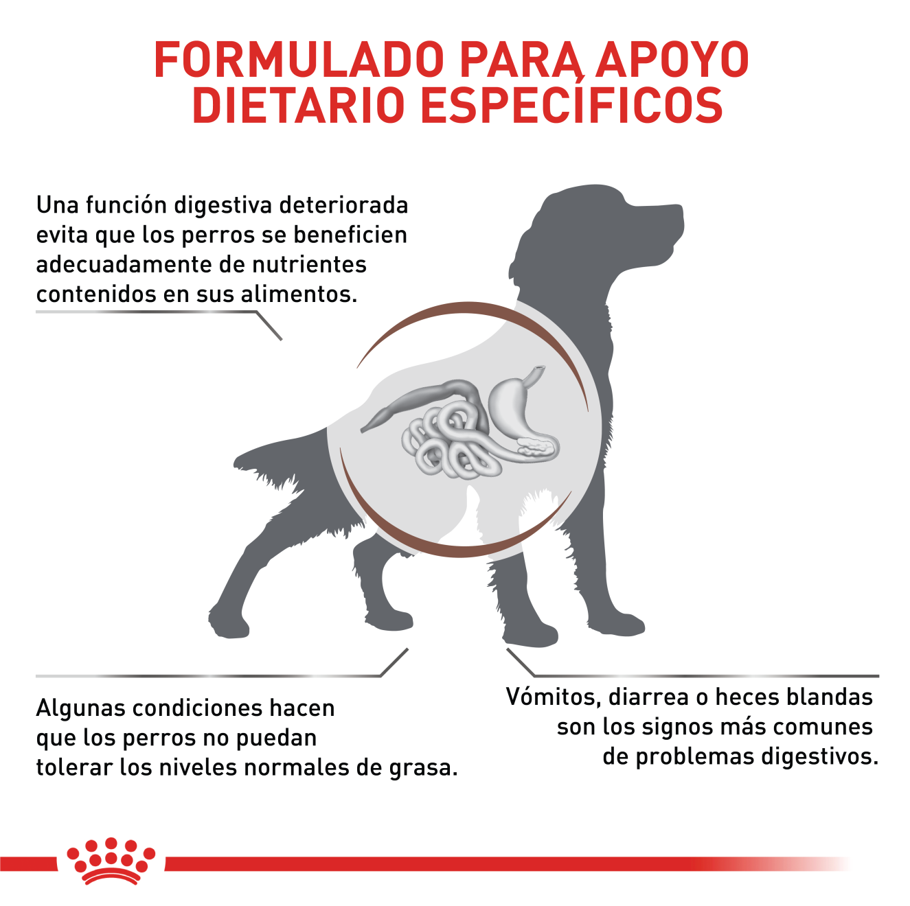 Gastrointestinal Bajo en Grasas Perro | Royal Canin CO
