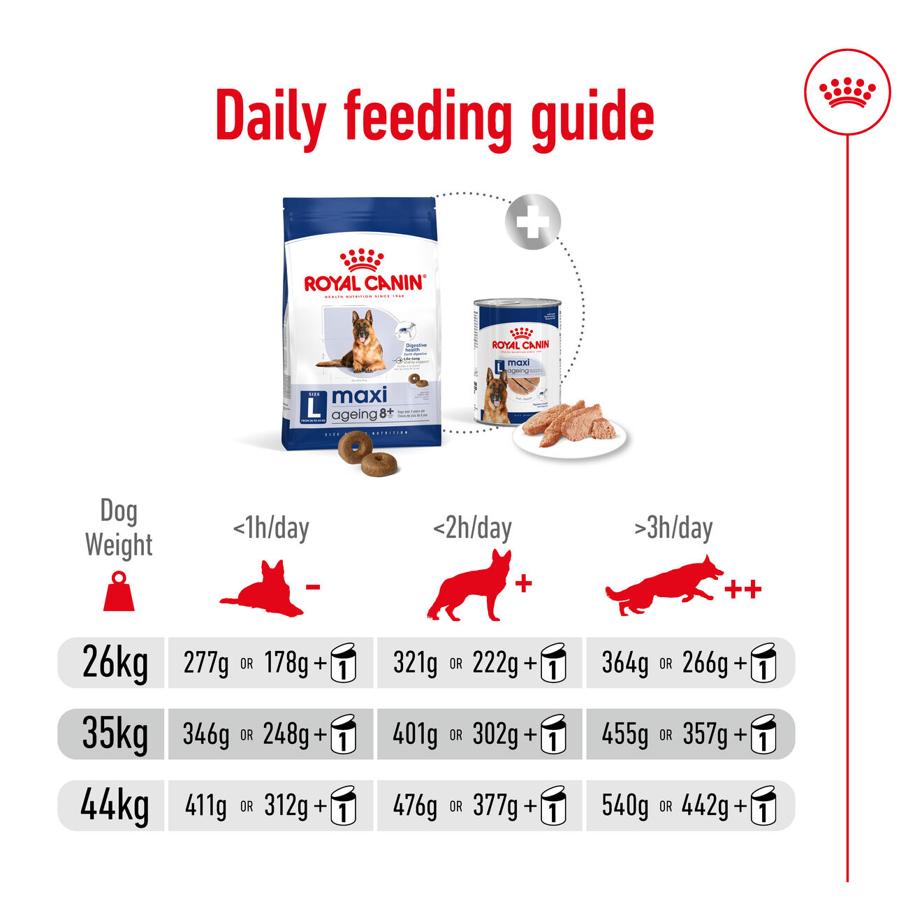 Maxi Ageing 8+ – Dog Food | Royal Canin UK