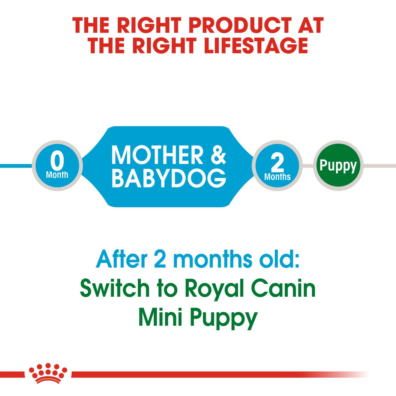Mini Starter | Royal Canin IN