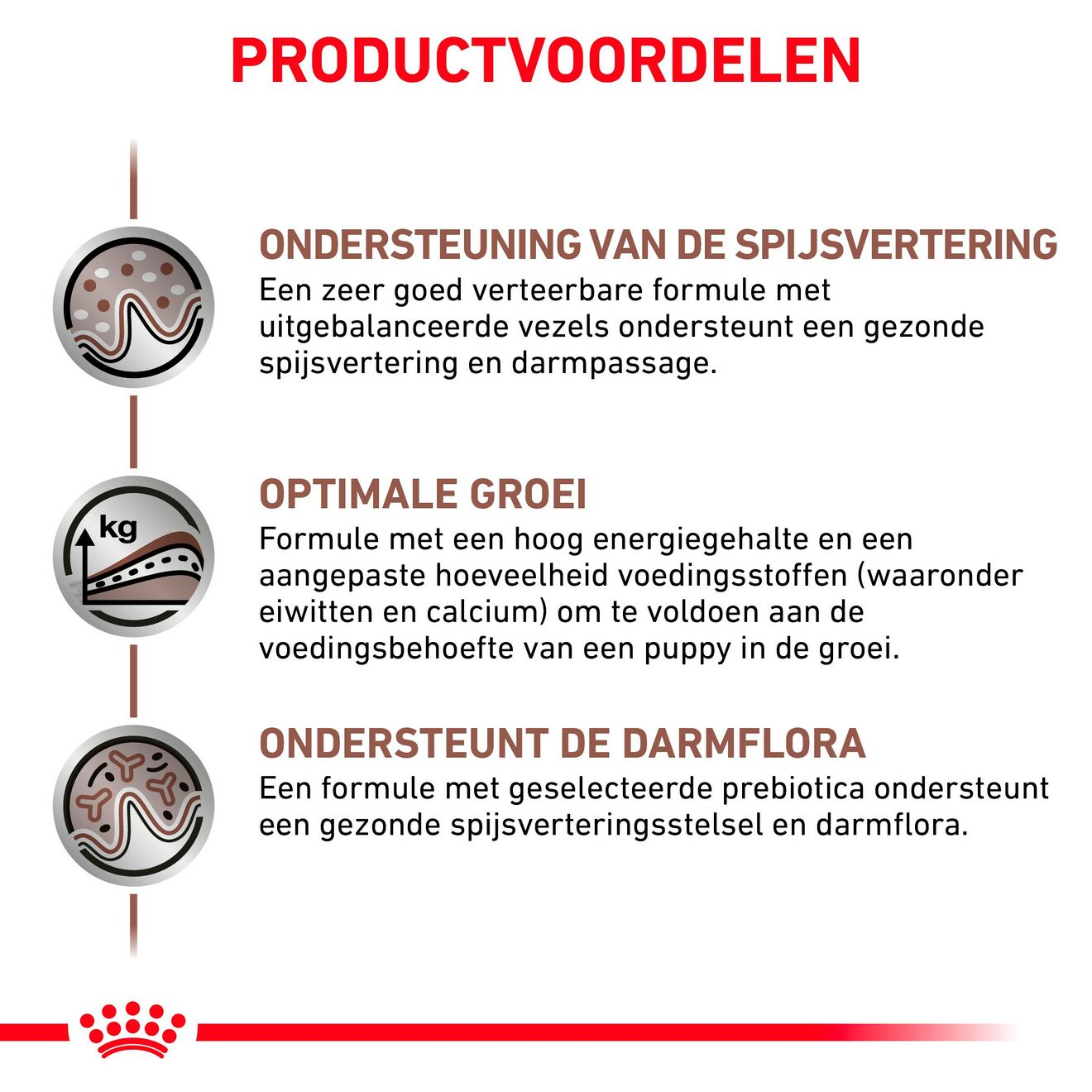 Gastrointestinal Puppy | Royal Canin NL