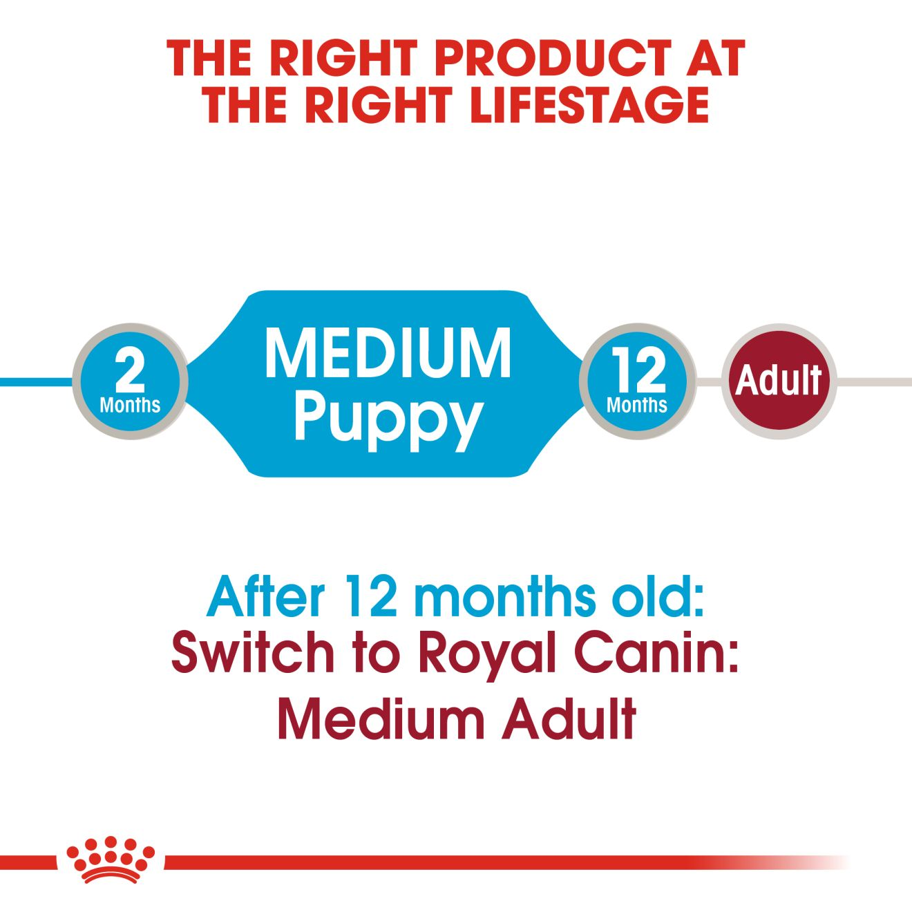 RC MEDIUM PUPPY | Royal Canin Ecuador