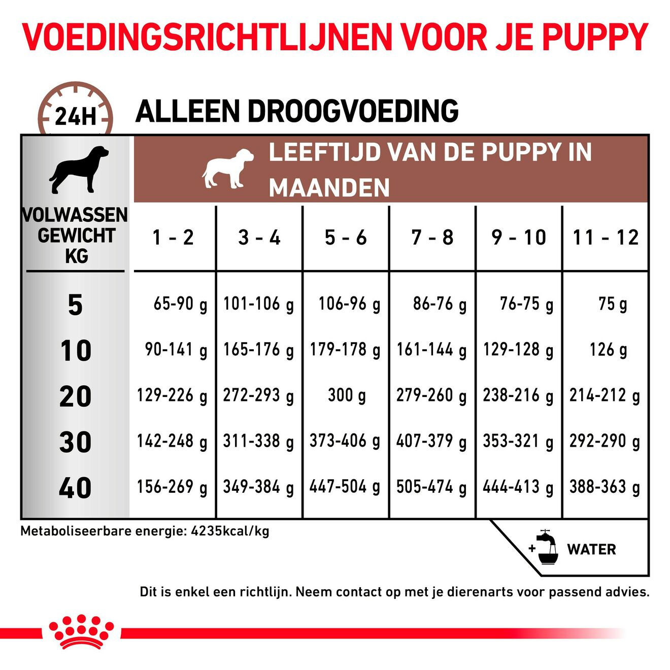 Gastrointestinal Puppy | Royal Canin BE