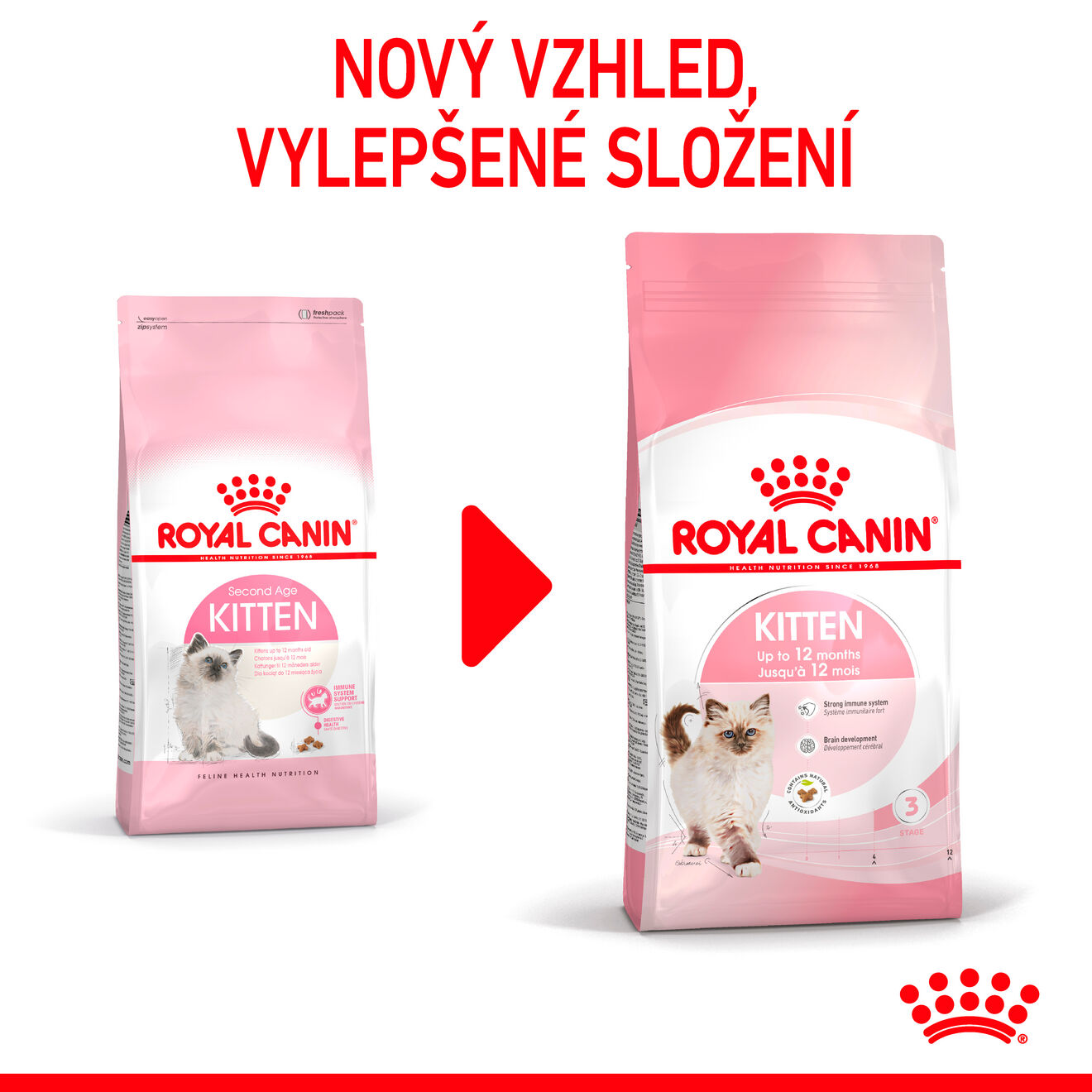KITTEN | Royal Canin Czech
