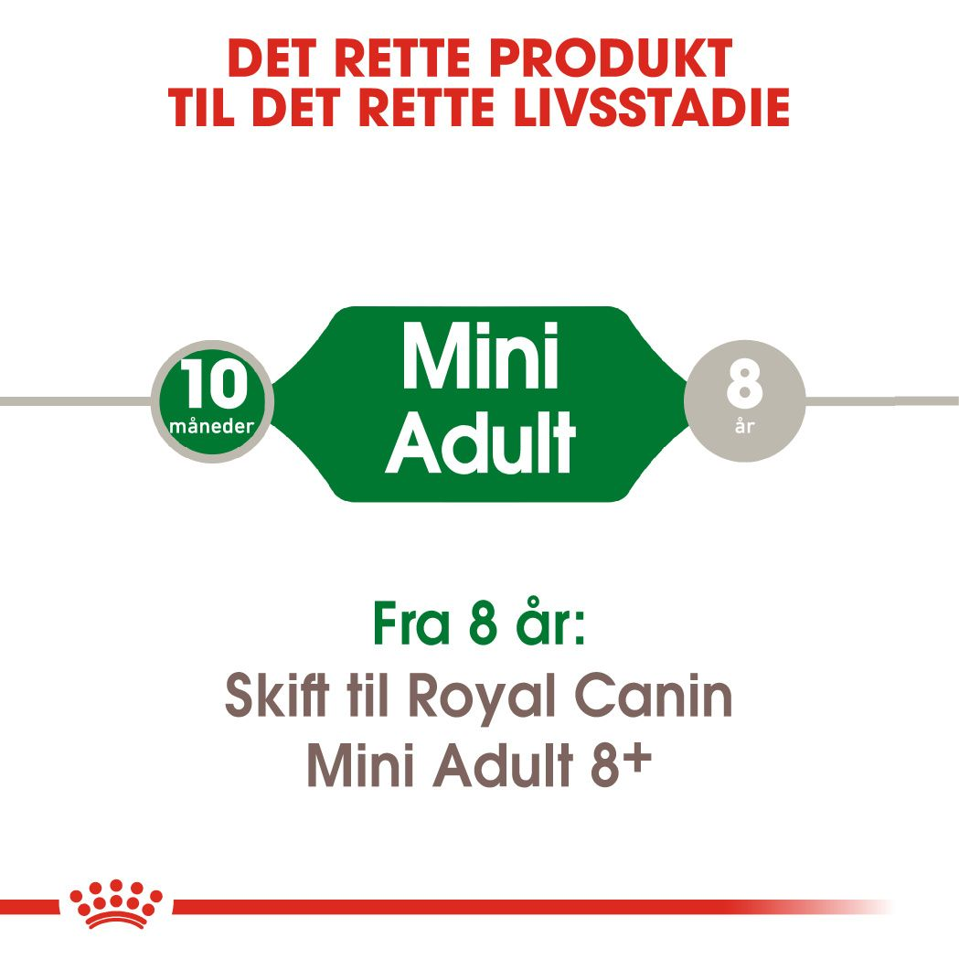 Mini Adult | Royal Canin Denmark