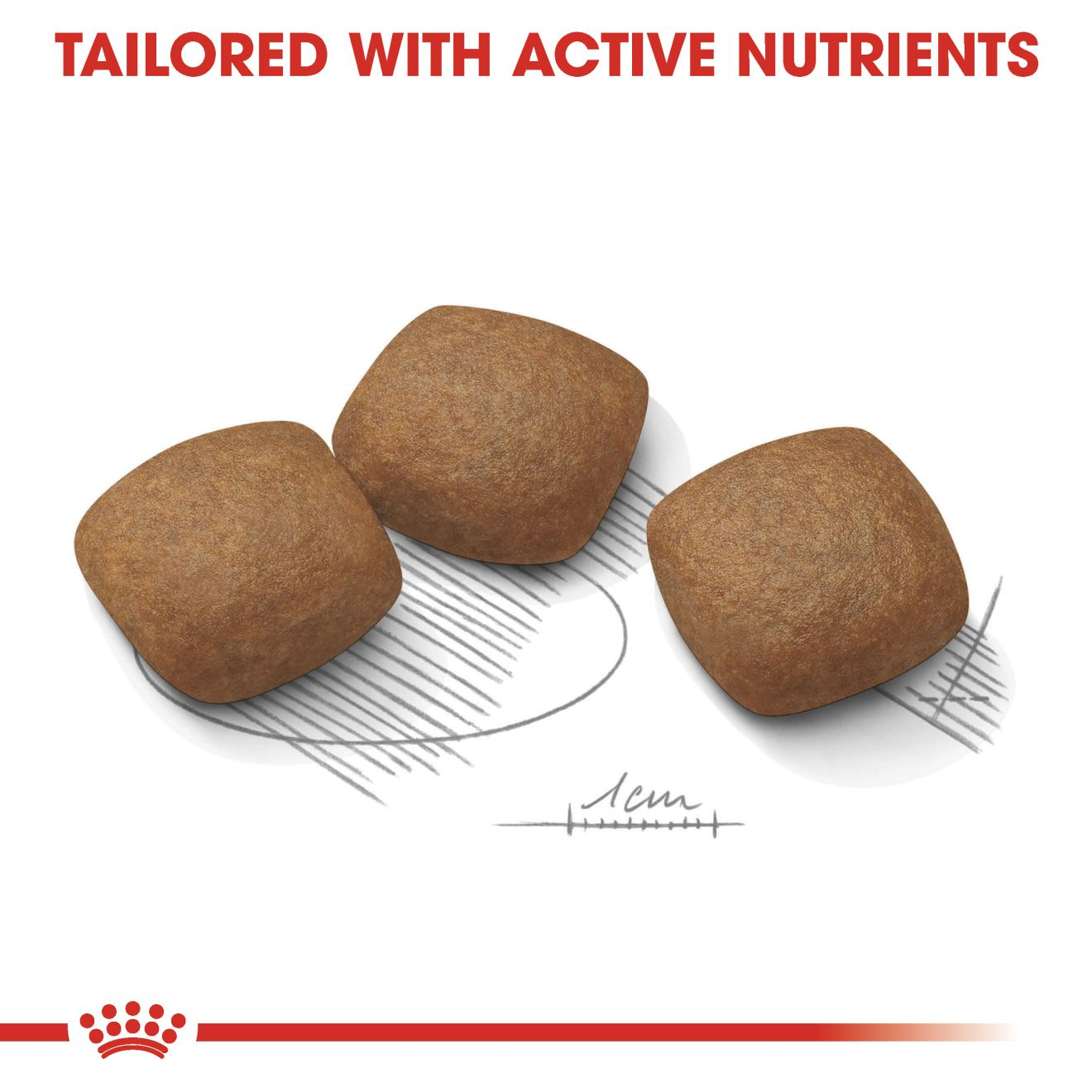 Maxi Joint Care | Royal Canin AU