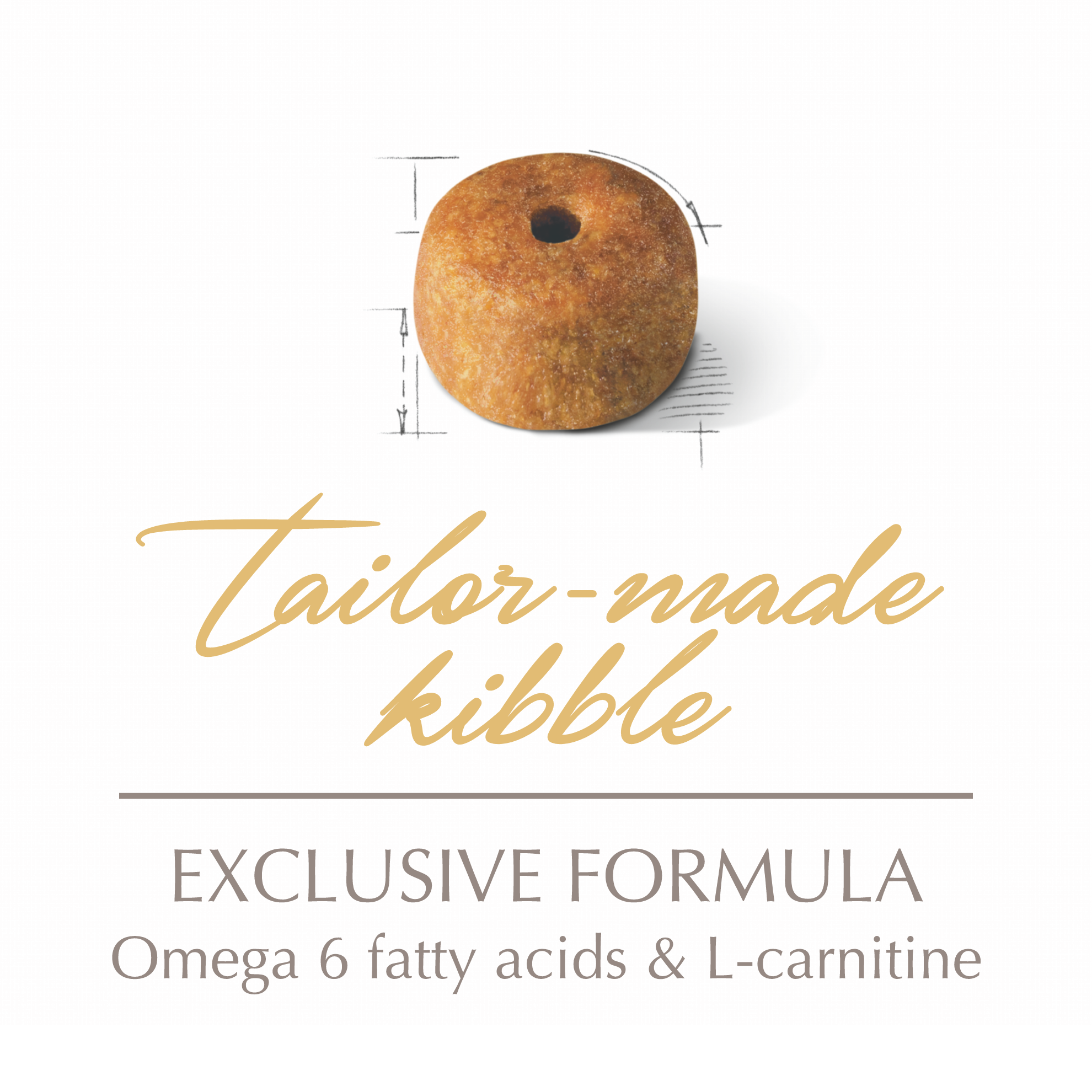 Siamese Adult – Cat Food | Royal Canin UK