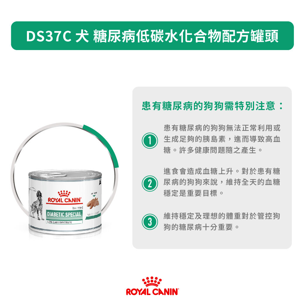 DS37C 犬 糖尿病低碳水化合物配方罐頭 | Royal Canin Taiwan