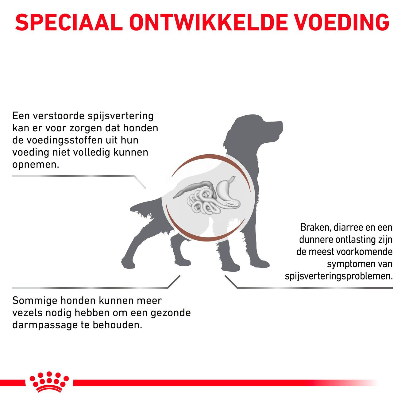 Gastrointestinal High Fibre | Royal Canin NL