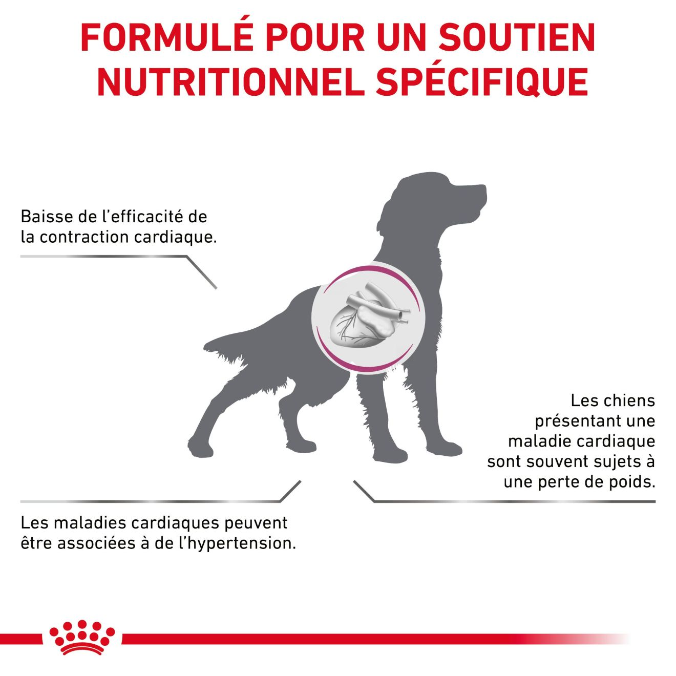 Cardiac | Royal Canin BE