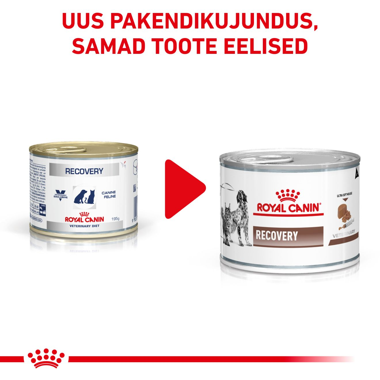 Royal Canin Recovery Cat & Dog konserv (pehme vaht) | Royal Canin EE
