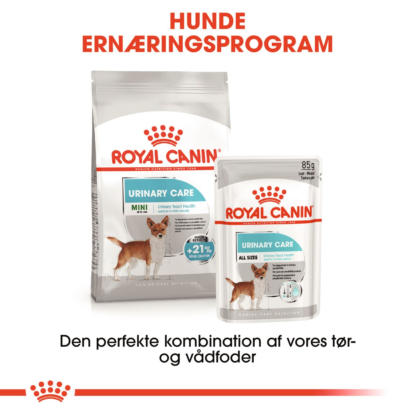 Mini Urinary Care Adult | Royal Canin DK