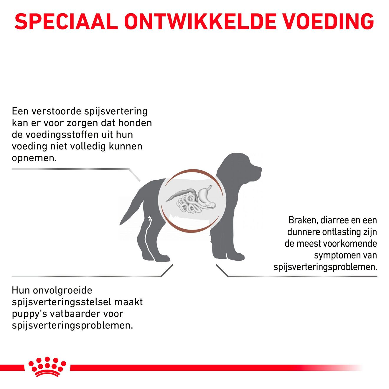 Gastrointestinal Puppy | Royal Canin BE