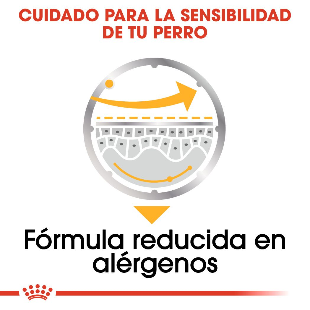 Dermacomfort | Royal Canin ES